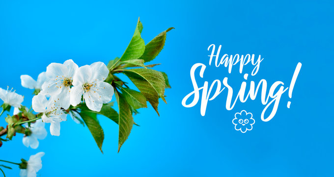 Happy Spring Day Message
