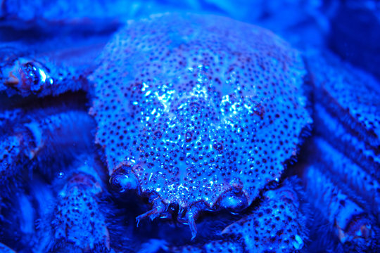 Kegani Images – Browse 55 Stock Photos, Vectors, and Video | Adobe Stock