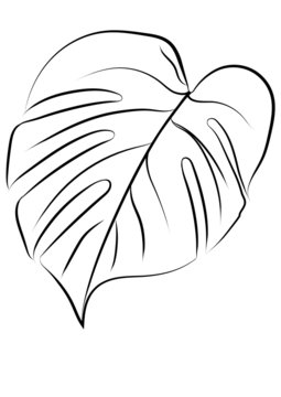 Jungle Leaves Outline