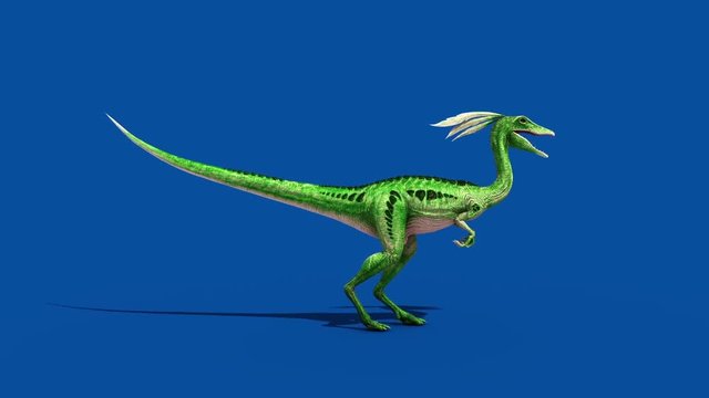 Compy Bilder – Durchsuchen 45 Archivfotos, Vektorgrafiken und Videos ...