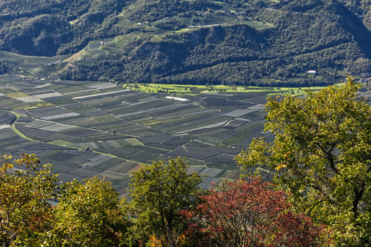 Etschberg Bilder – Durchsuchen 627 Archivfotos, Vektorgrafiken und ...