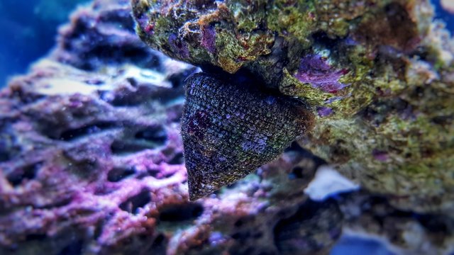 Tectum Images – Browse 60 Stock Photos, Vectors, and Video | Adobe Stock