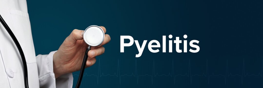 Pyelitis Imagens – Procure 38 fotos, vetores e vídeos | Adobe Stock