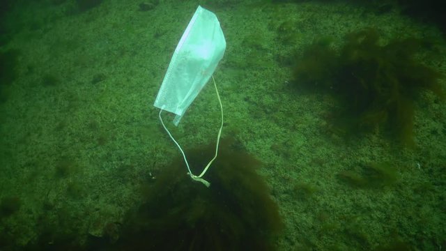 Imágenes de Debrish: descubre bancos de fotos, ilustraciones, vectores ...