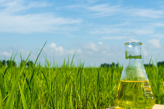 Agrochemistry Images – Browse 981 Stock Photos, Vectors, and Video ...