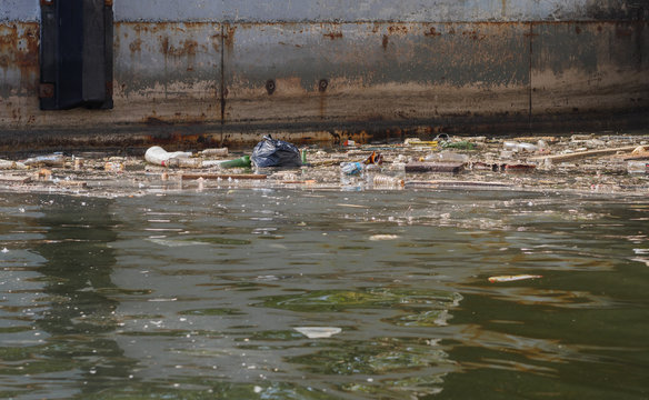 Leecher bilder – Bläddra bland 5,659 stockfoton, vektorer och videor ...