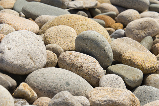 รูปภาพCaillasse – เลือกดูภาพถ่ายสต็อก เวกเตอร์ และวิดีโอ1,314 | Adobe Stock