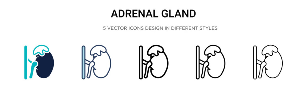 Adrenal Gland Icon Images – Browse 3,610 Stock Photos, Vectors, and ...