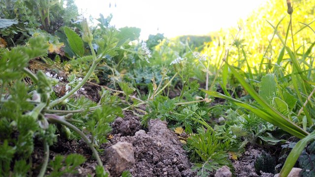 Soild Images – Browse 156 Stock Photos, Vectors, and Video | Adobe Stock