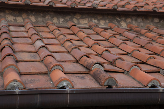 Imbrex Bilder – Durchsuchen 188 Archivfotos, Vektorgrafiken und Videos ...