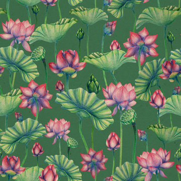 Lotus Pattern Background