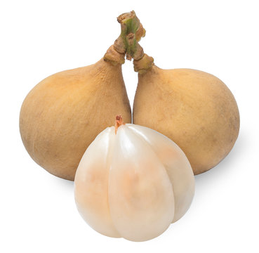 Imágenes de Lanzones: descubre bancos de fotos, ilustraciones, vectores ...