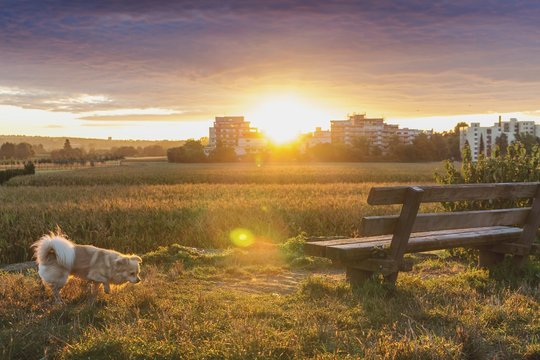 Fehlend Bilder – Durchsuchen 414,338 Archivfotos, Vektorgrafiken und ...
