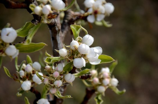 Denailing Images – Browse 7 Stock Photos, Vectors, and Video | Adobe Stock