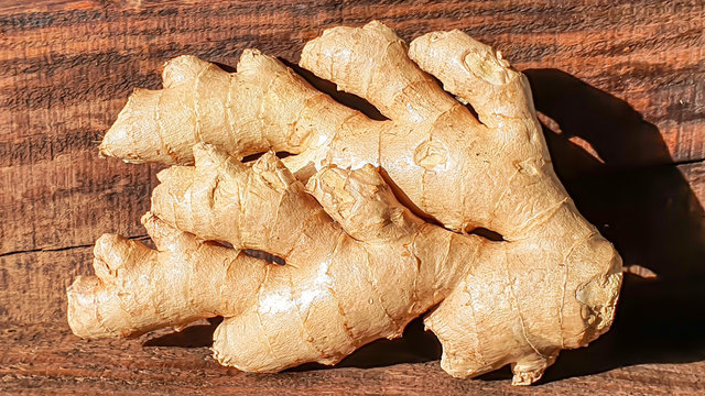 Paivo Images – Browse 31 Stock Photos, Vectors, and Video | Adobe Stock