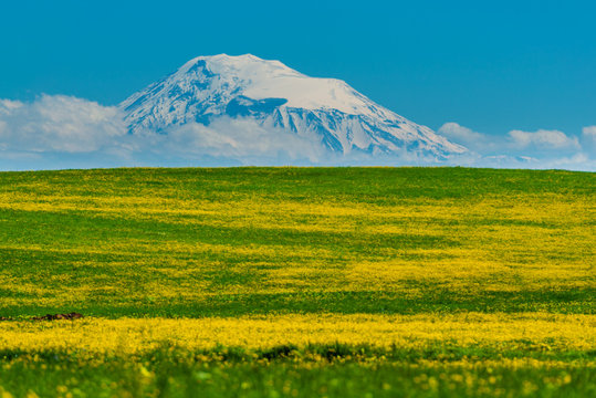 รูปภาพMasi – เลือกดูภาพถ่ายสต็อก เวกเตอร์ และวิดีโอ576 | Adobe Stock