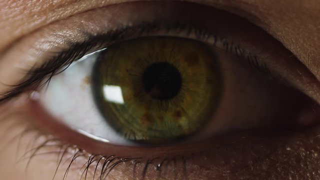 Unblinking Bilder – Durchsuchen 661 Archivfotos, Vektorgrafiken und ...