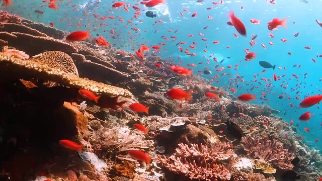 รูปภาพTeeming – เลือกดูภาพถ่ายสต็อก เวกเตอร์ และวิดีโอ2,697 | Adobe Stock