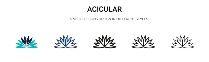 Fotos, lizenzfreie Bilder, Grafiken, Vektoren und Videos von Buchennuss ...