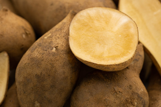 Imágenes de Yacon: descubre bancos de fotos, ilustraciones, vectores y ...