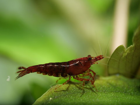 Kanc Images – Browse 3 Stock Photos, Vectors, and Video | Adobe Stock