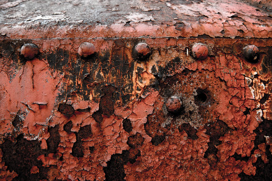 รูปภาพRotting – เลือกดูภาพถ่ายสต็อก เวกเตอร์ และวิดีโอ1,602,332 | Adobe ...