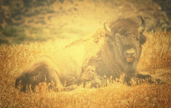 Rests Bilder – Durchsuchen 5,326,795 Archivfotos, Vektorgrafiken und ...