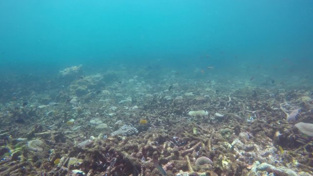 Overfishing Imagens – Procure 5,739 fotos, vetores e vídeos | Adobe Stock