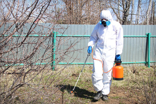 รูปภาพDisinsection – เลือกดูภาพถ่ายสต็อก เวกเตอร์ และวิดีโอ1,006 ...