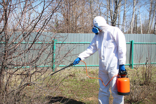 Disinsection Bilder – Durchsuchen 602 Archivfotos, Vektorgrafiken und ...