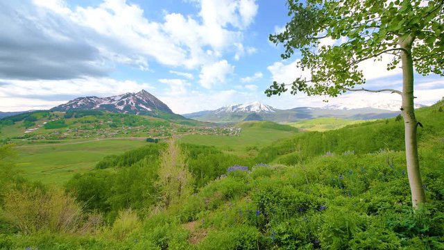 Snodgrass Images – Browse 196 Stock Photos, Vectors, and Video | Adobe ...