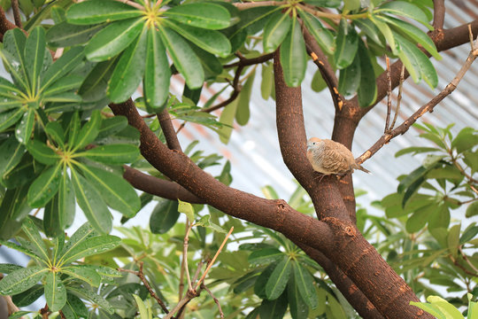 รูปภาพKurokutok – เลือกดูภาพถ่ายสต็อก เวกเตอร์ และวิดีโอ1,546 | Adobe Stock