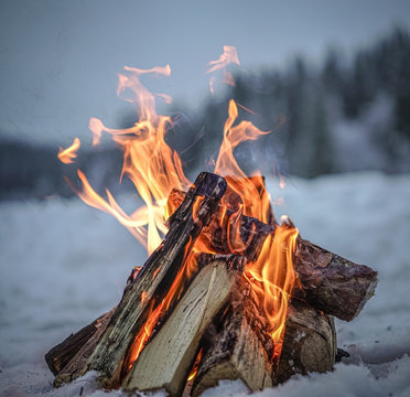 Bonefire Images – Browse 630,966 Stock Photos, Vectors, and Video ...