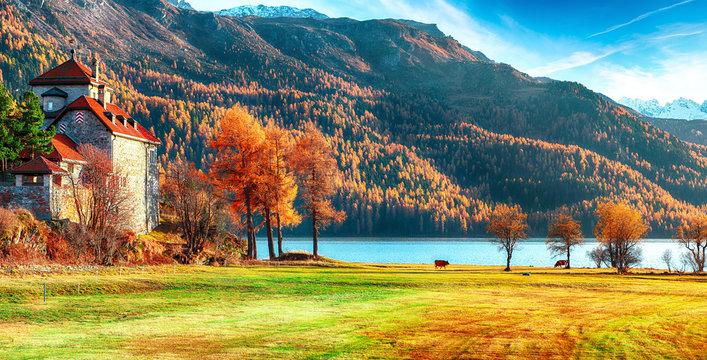 Sass Bilder – Durchsuchen 4,197 Archivfotos, Vektorgrafiken und Videos ...