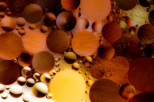 รูปภาพMacrographie – เลือกดูภาพถ่ายสต็อก เวกเตอร์ และวิดีโอ190 | Adobe ...