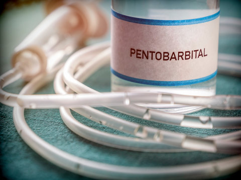 รูปภาพPentobarbital – เลือกดูภาพถ่ายสต็อก เวกเตอร์ และวิดีโอ178 | Adobe ...