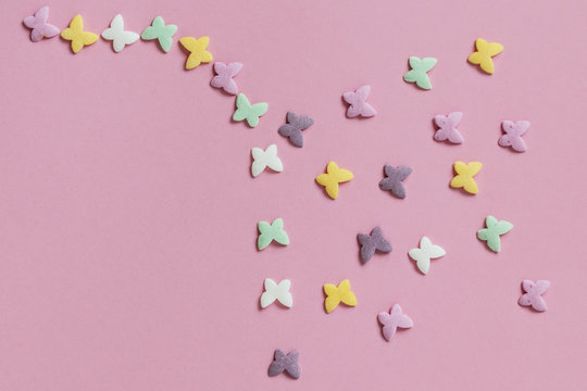 Chrysopelea Bilder – Durchsuchen 358 Archivfotos, Vektorgrafiken und ...