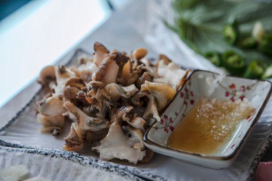 Conch Bilder – Durchsuchen 98,267 Archivfotos, Vektorgrafiken und ...