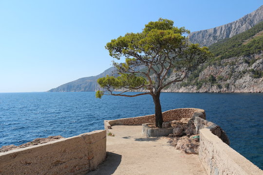 รูปภาพPusto – เลือกดูภาพถ่ายสต็อก เวกเตอร์ และวิดีโอ912 | Adobe Stock