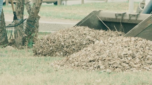 Mistplatz Bilder – Durchsuchen 1,941 Archivfotos, Vektorgrafiken und ...