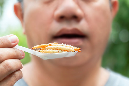 รูปภาพOmphisa – เลือกดูภาพถ่ายสต็อก เวกเตอร์ และวิดีโอ126 | Adobe Stock