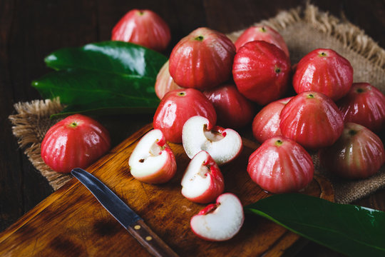 รูปภาพTambis – เลือกดูภาพถ่ายสต็อก เวกเตอร์ และวิดีโอ5,411 | Adobe Stock