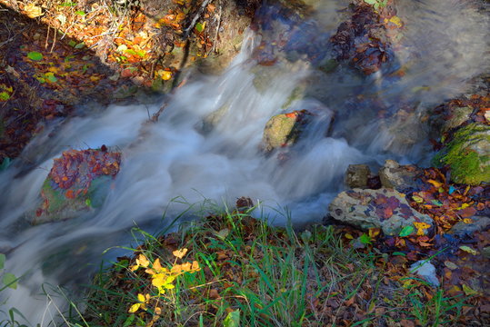 Ruscello Images – Browse 22,661 Stock Photos, Vectors, and Video ...