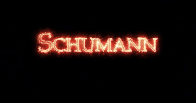 "Robert Schumann" Images – Browse 330 Stock Photos, Vectors, and Video ...