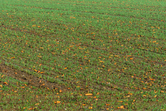 Surproduction Images – Parcourir 2,326 le catalogue de photos, vecteurs ...