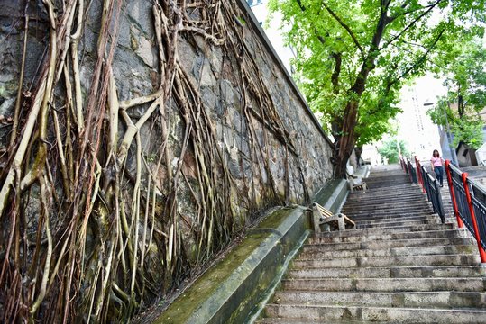 Redenering Bilder – Durchsuchen 617 Archivfotos, Vektorgrafiken und ...