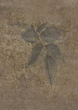 Rustly Images – Browse 37 Stock Photos, Vectors, and Video | Adobe Stock