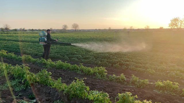 Fumigation Images – Browse 10,811 Stock Photos, Vectors, and Video ...