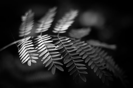 「Nachural」の写真素材 | 14件の無料イラスト画像 | Adobe Stock