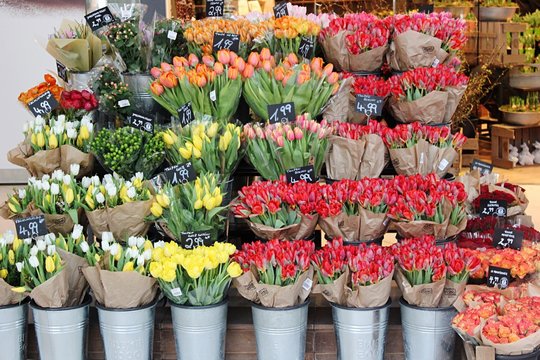 "Flower Market" Images – Browse 5,387 Stock Photos, Vectors, and Video ...